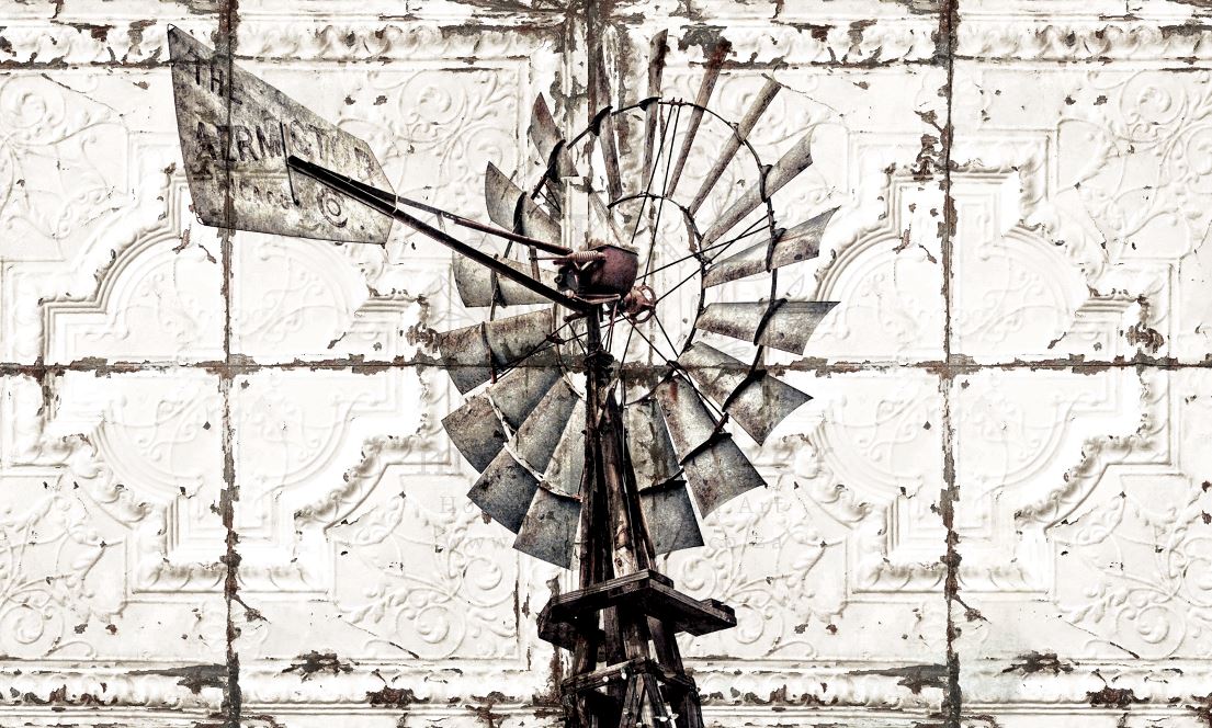 WINDPOMP | VINYL RUG – Mooi Kamer