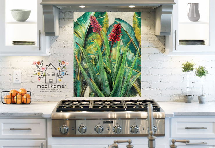 Perspex Kitchen Splashbacks – Mooi Kamer