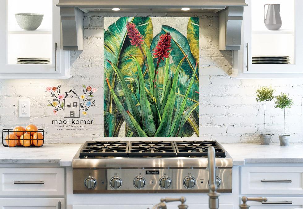 Perspex Kitchen Splashbacks – Mooi Kamer