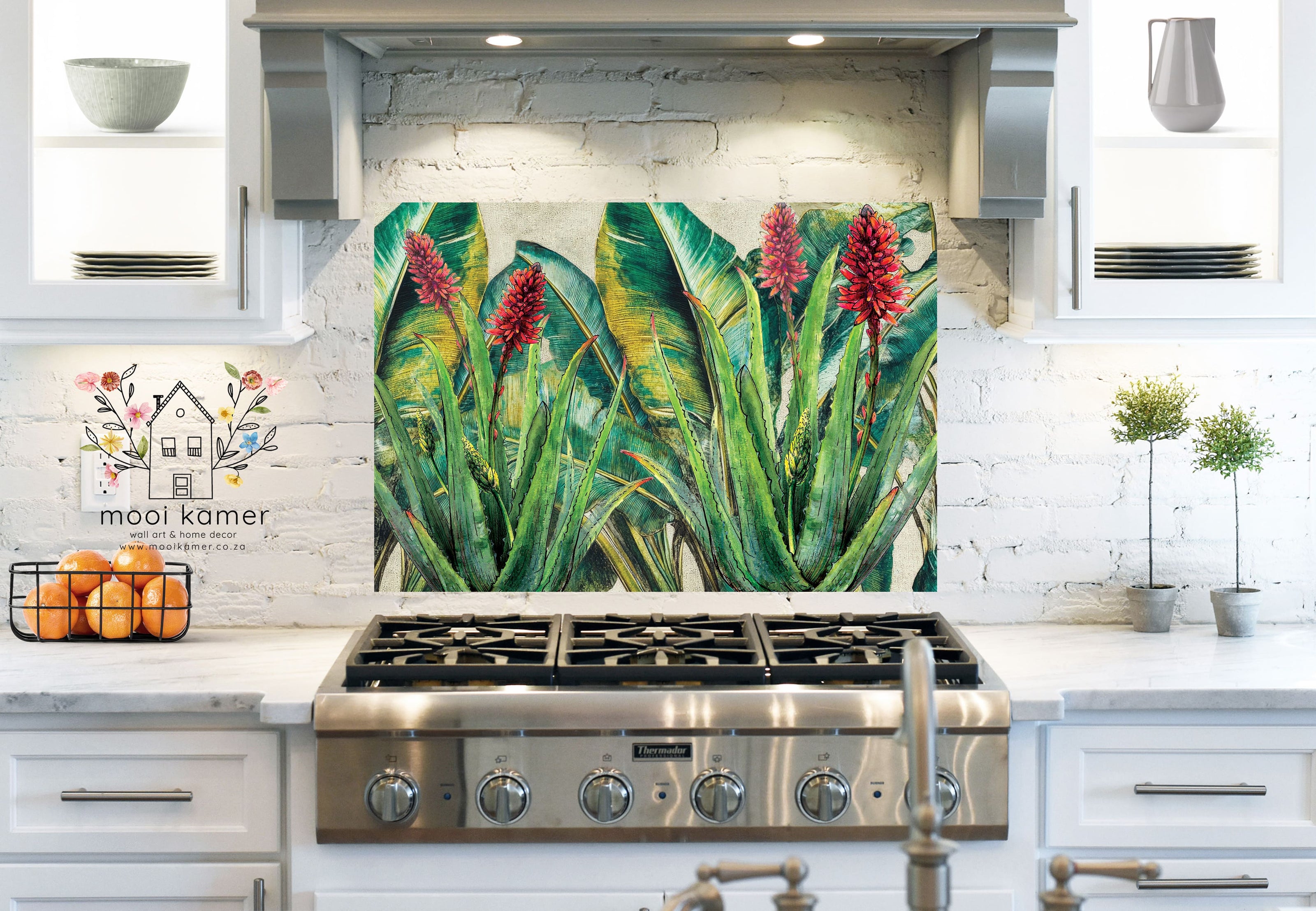 Perspex Kitchen Splashbacks – Mooi Kamer