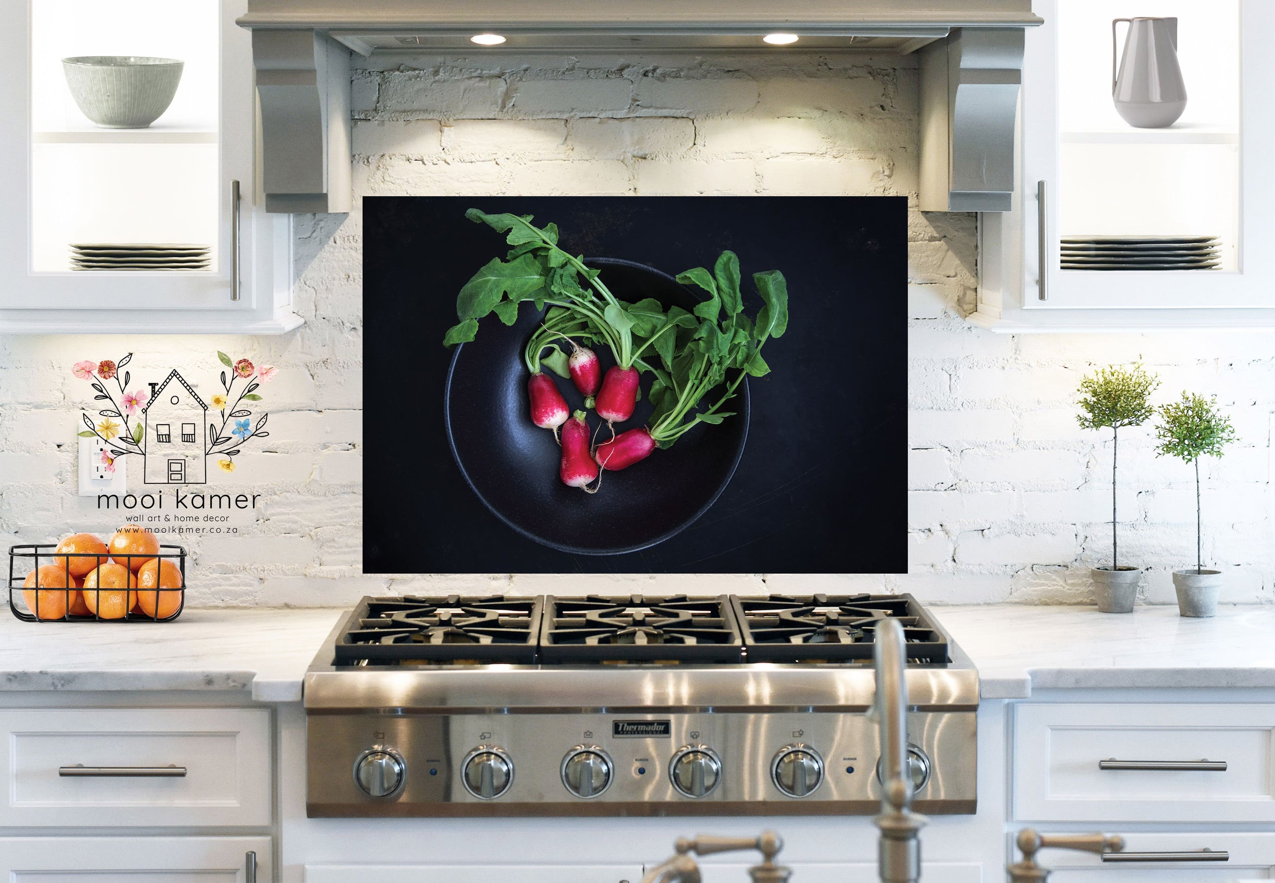 Perspex Kitchen Splashbacks – Page 4 – Mooi Kamer