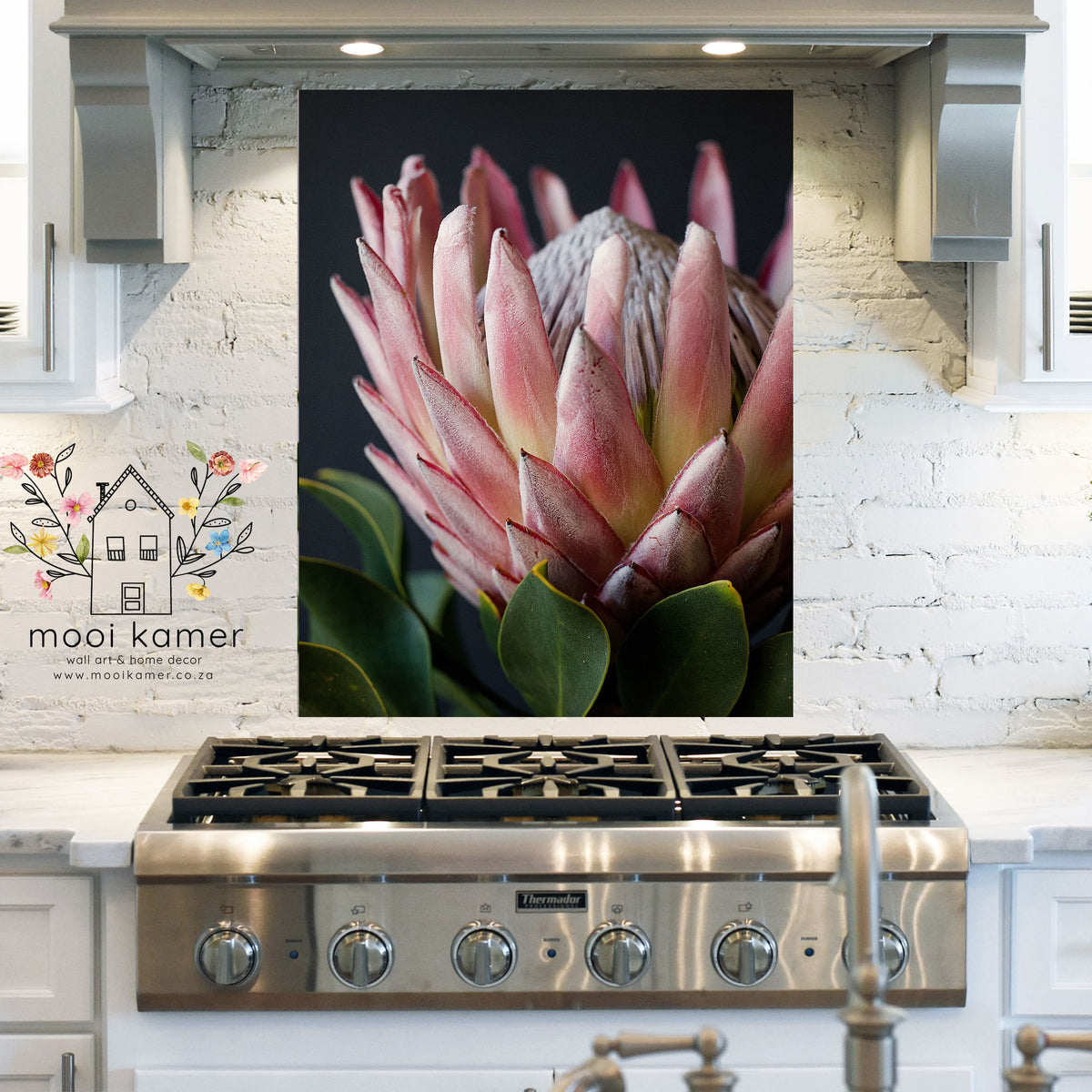 Protea Splash-back | Perspex Only | [Hardware for Mounting not Include ...
